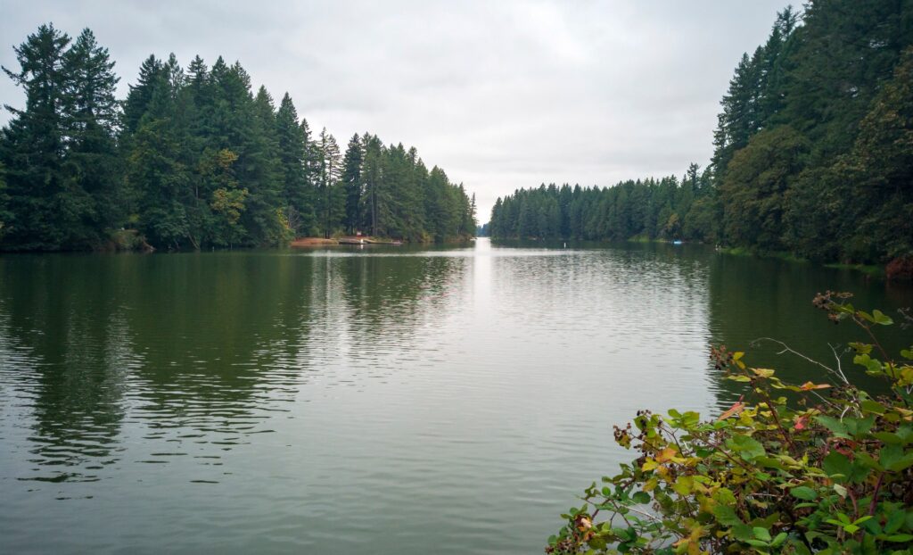Camas Private Jet and Air Charter Flights